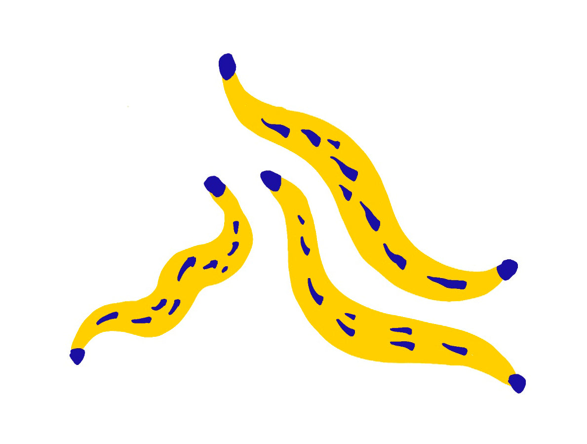 Haleh Pashmak, Wall Paper, Original Art & Handmade Goods